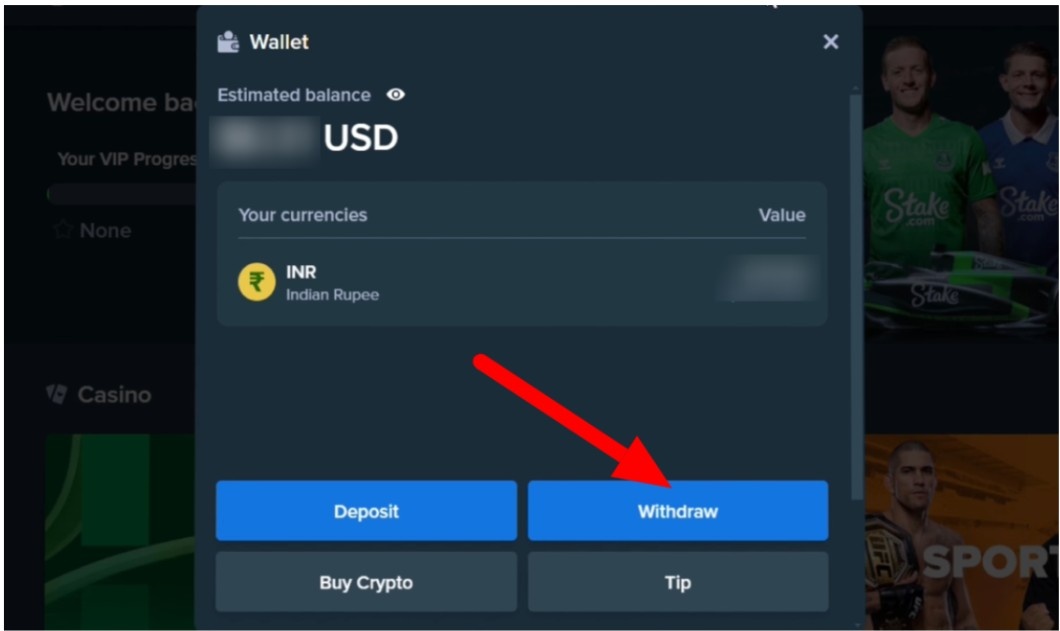 How To Withdraw Money From Stake (2025 Guide)